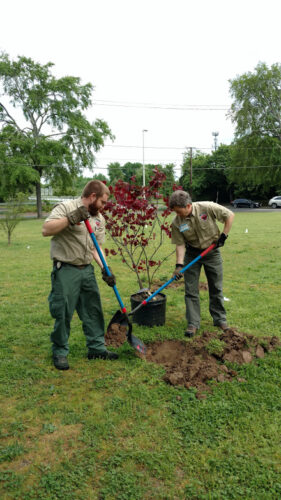 Tree Planting – Happy Tree LLC